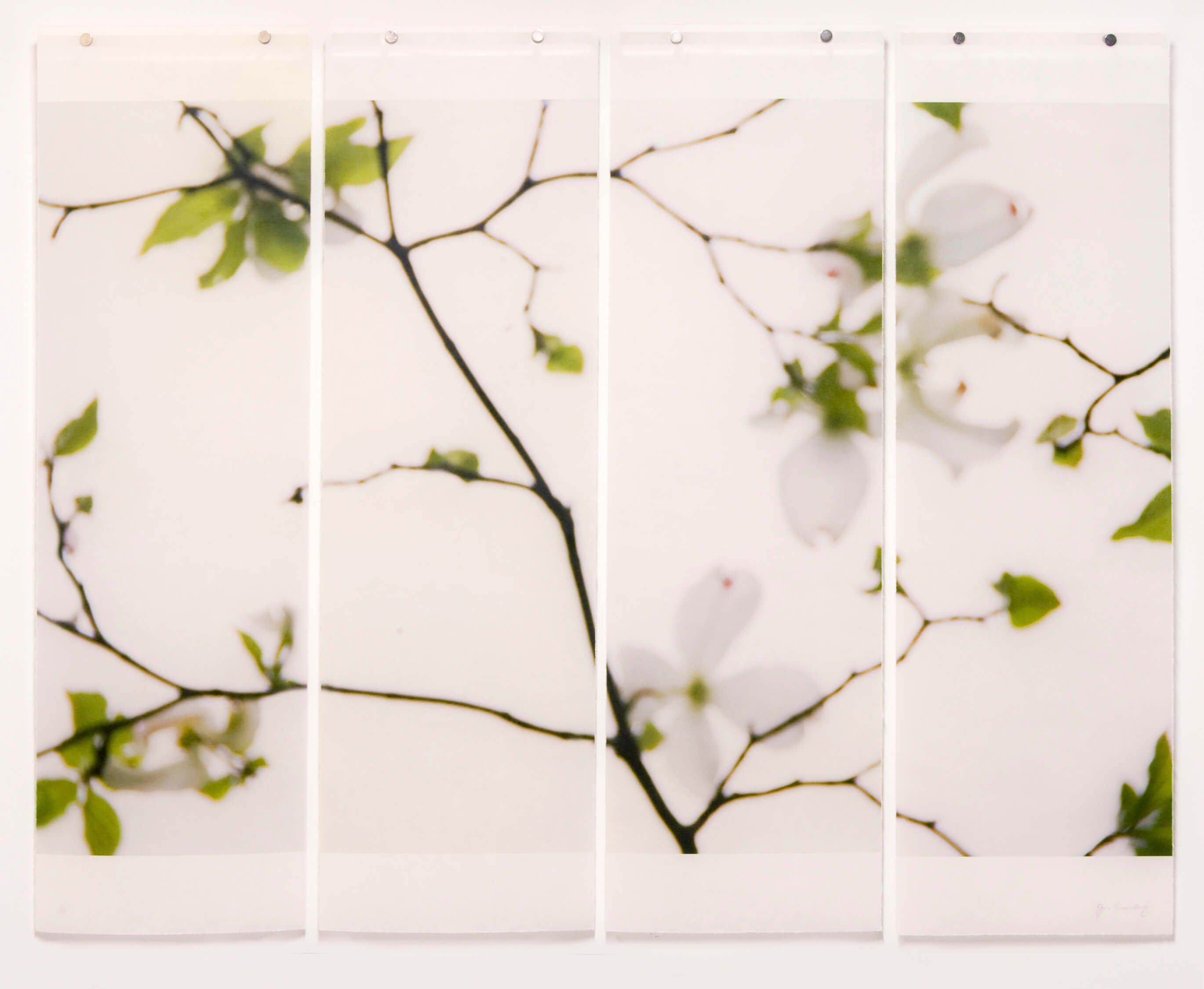 Jeri Eisenberg – Amy Simon Fine Art